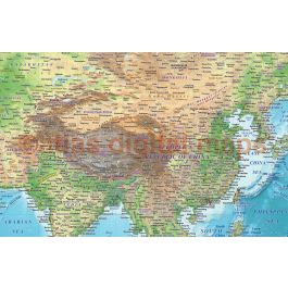 Buy VINYL Green/Blue World Relief Map - Large size 60"w x 38"d Online