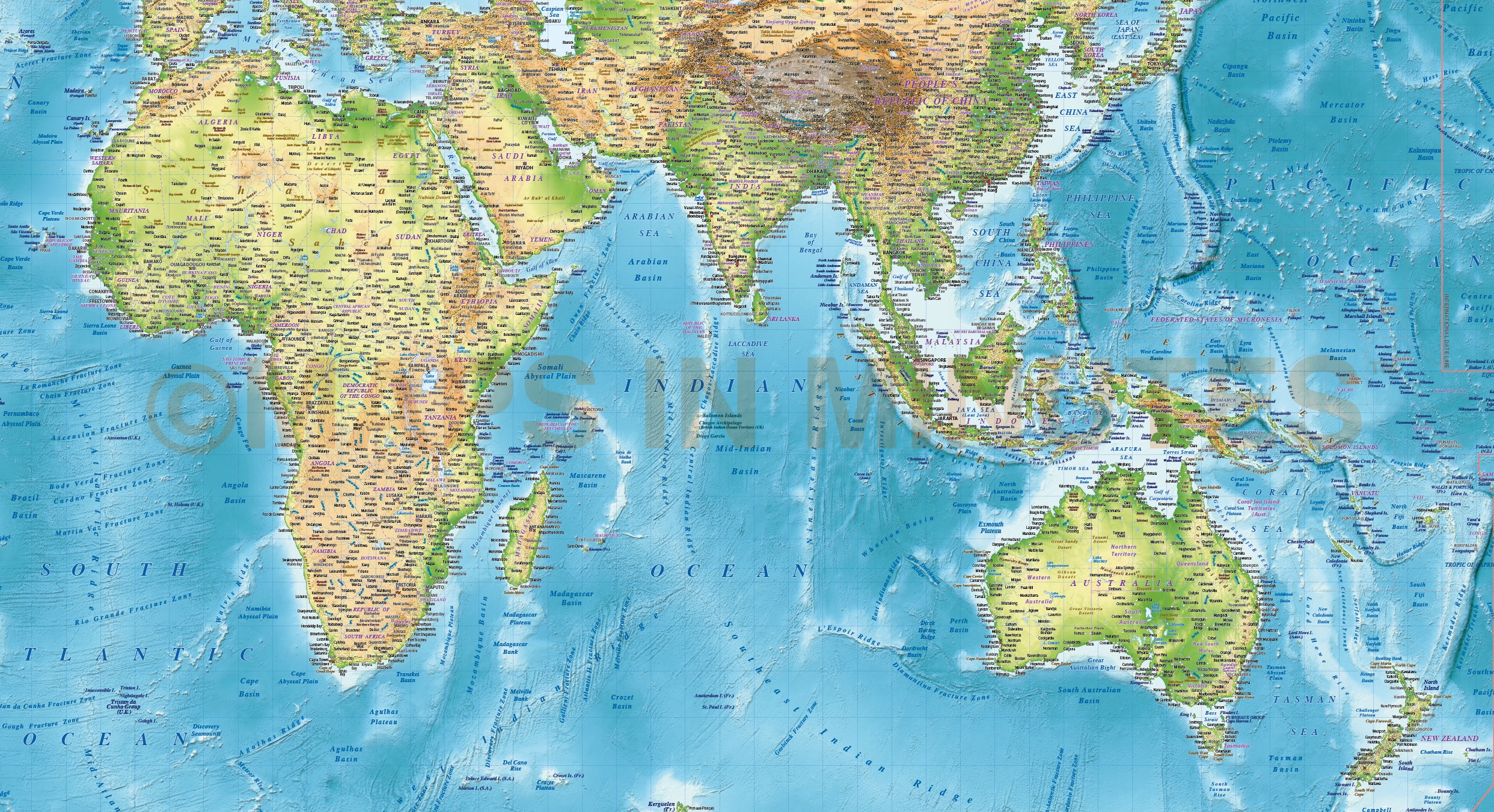 Regular style Contemporary Vinyl Relief World Wall Map 60" wide x 38" deep